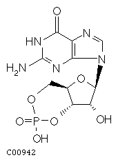 LON-CAPA Cyclic nucleotides